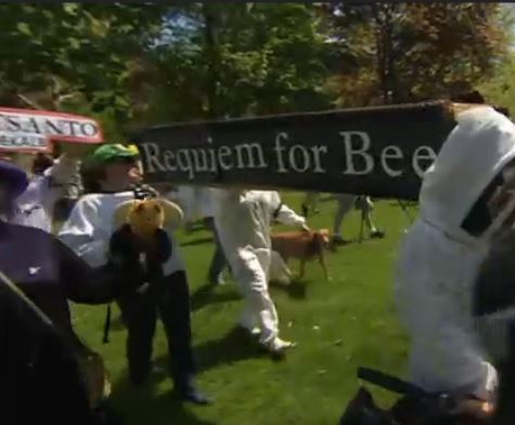 The bees’ funeral | Bad Beekeeping Blog