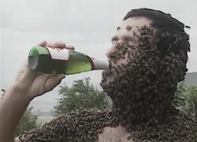Bees, Beer, and Dead Mites | Bad Beekeeping Blog