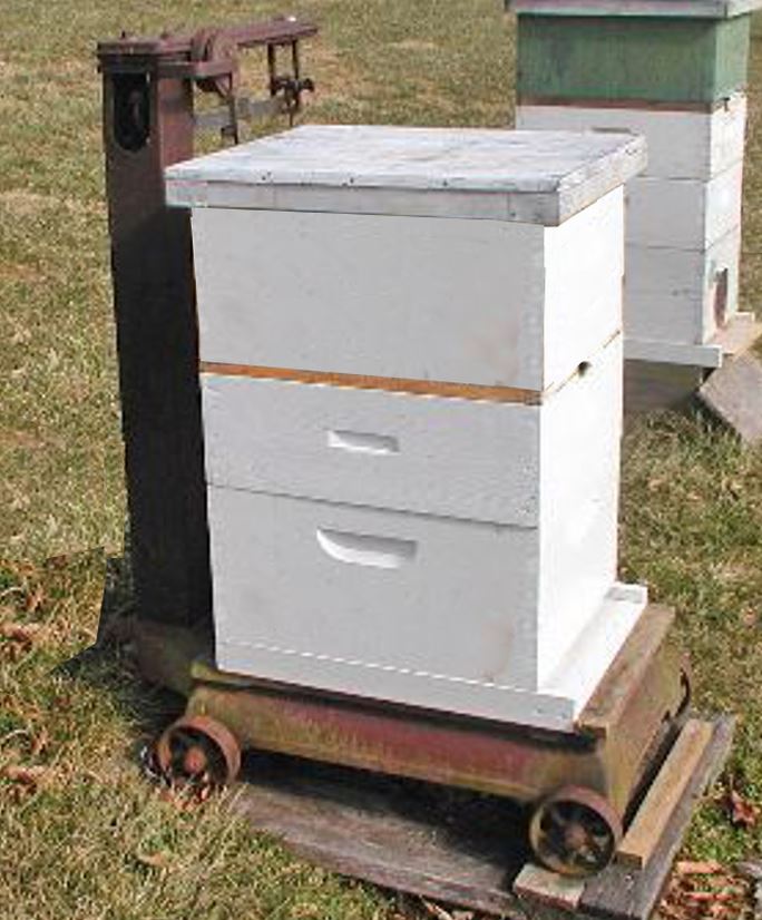 Honey Times in Oz | Bad Beekeeping Blog