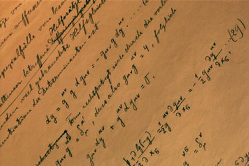 It Doesn’t Take an Einstein | Bad Beekeeping Blog