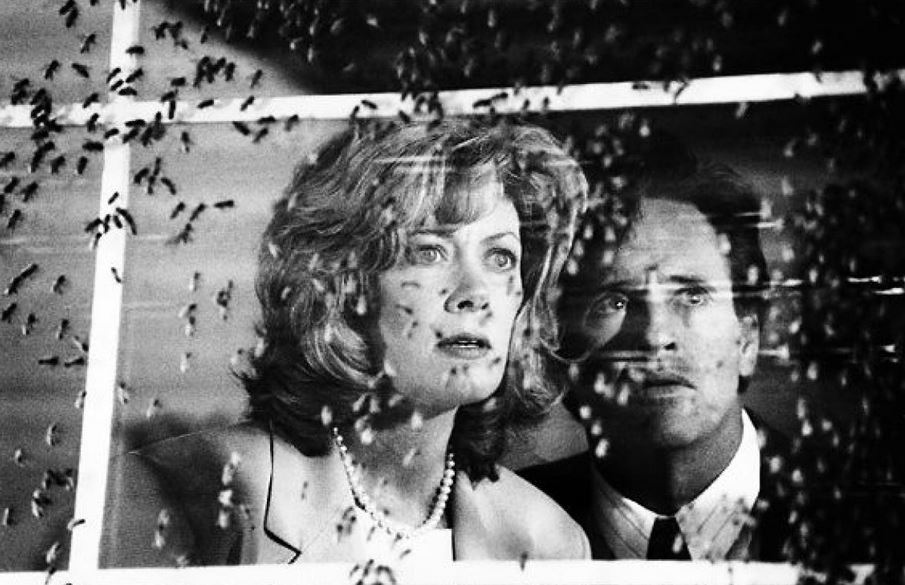 Good News: No Killer Bees at the Olympics | Bad Beekeeping Blog