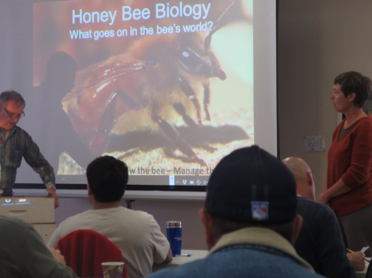 Beginners’ Bee Course | Bad Beekeeping Blog
