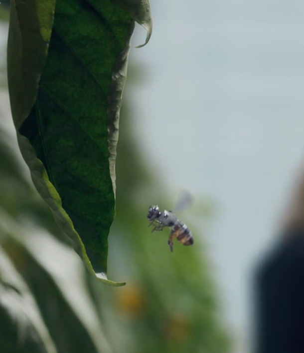 Hate Nation’s Bees | Bad Beekeeping Blog