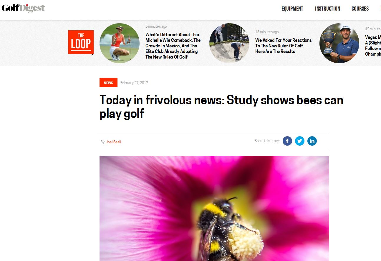 Golf Magazine Calls Bee Study “Frivolous” | Bad Beekeeping Blog
