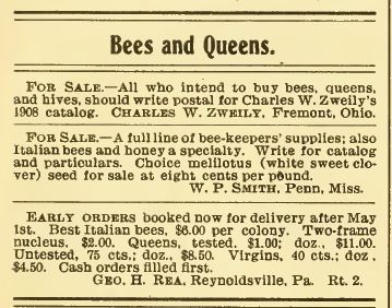 Long Live the (New) Queen | Bad Beekeeping Blog