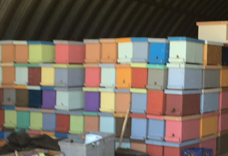 Nuking the Bees | Bad Beekeeping Blog