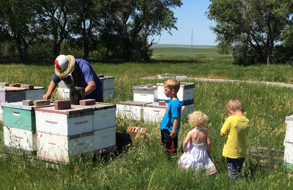 Backstory for the Bees | Bad Beekeeping Blog