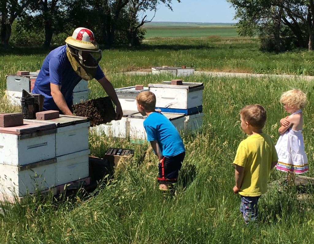 Nuking the Bees | Bad Beekeeping Blog