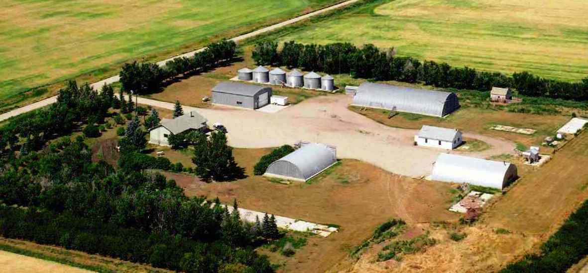 Moving the Bees | Bad Beekeeping Blog