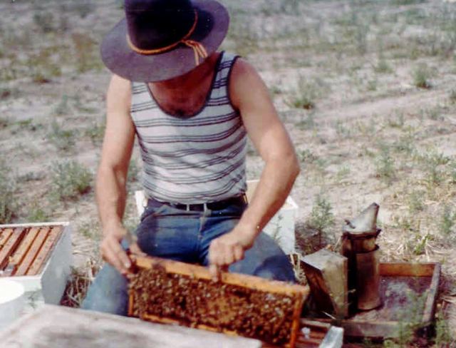 Nuking the Bees | Bad Beekeeping Blog