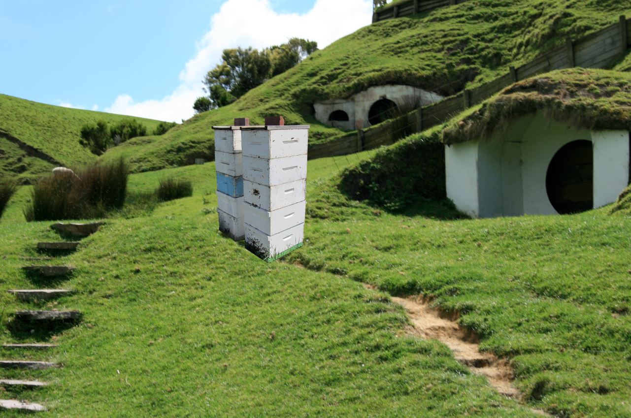 The Beekeeper Everyone Knows | Bad Beekeeping Blog