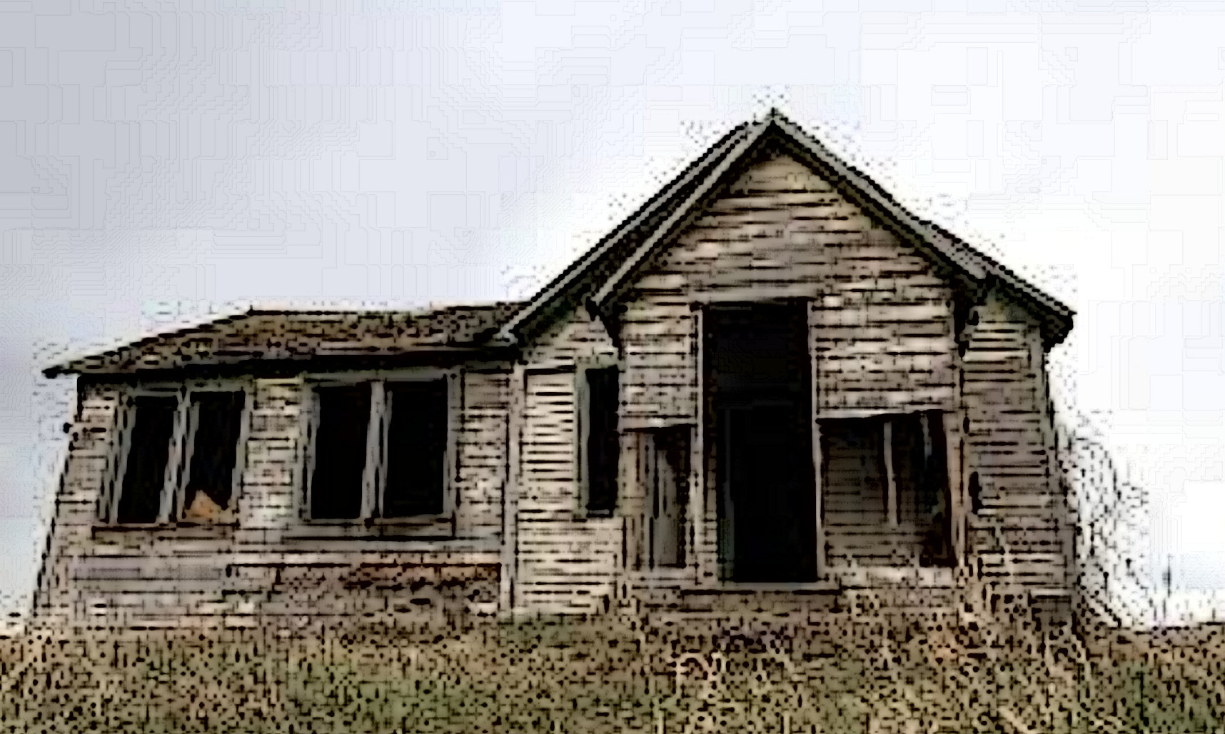 A Depleted Home | Bad Beekeeping Blog
