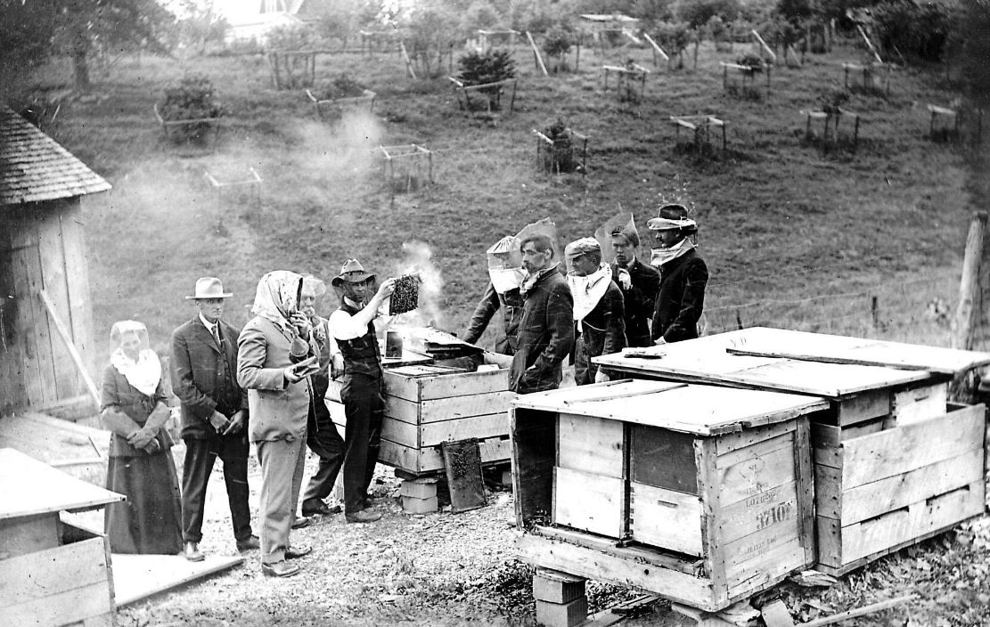 Century-old beekeeping equipment | Bad Beekeeping Blog