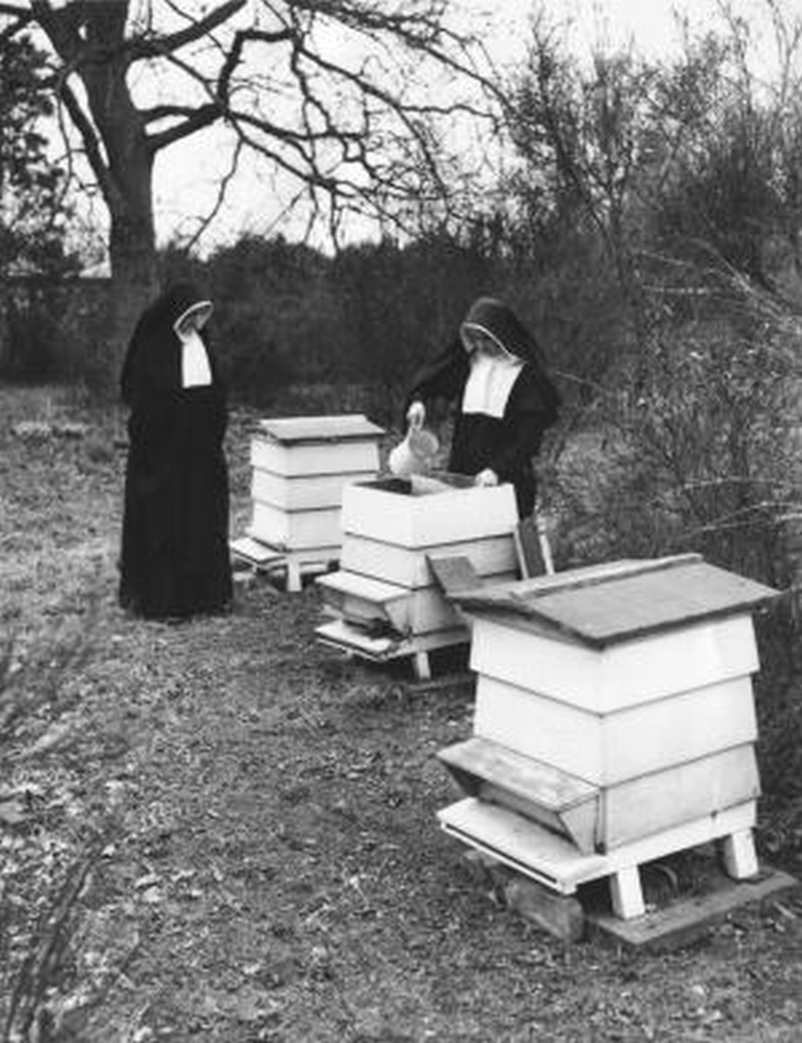 Nuns of honey | Bad Beekeeping Blog