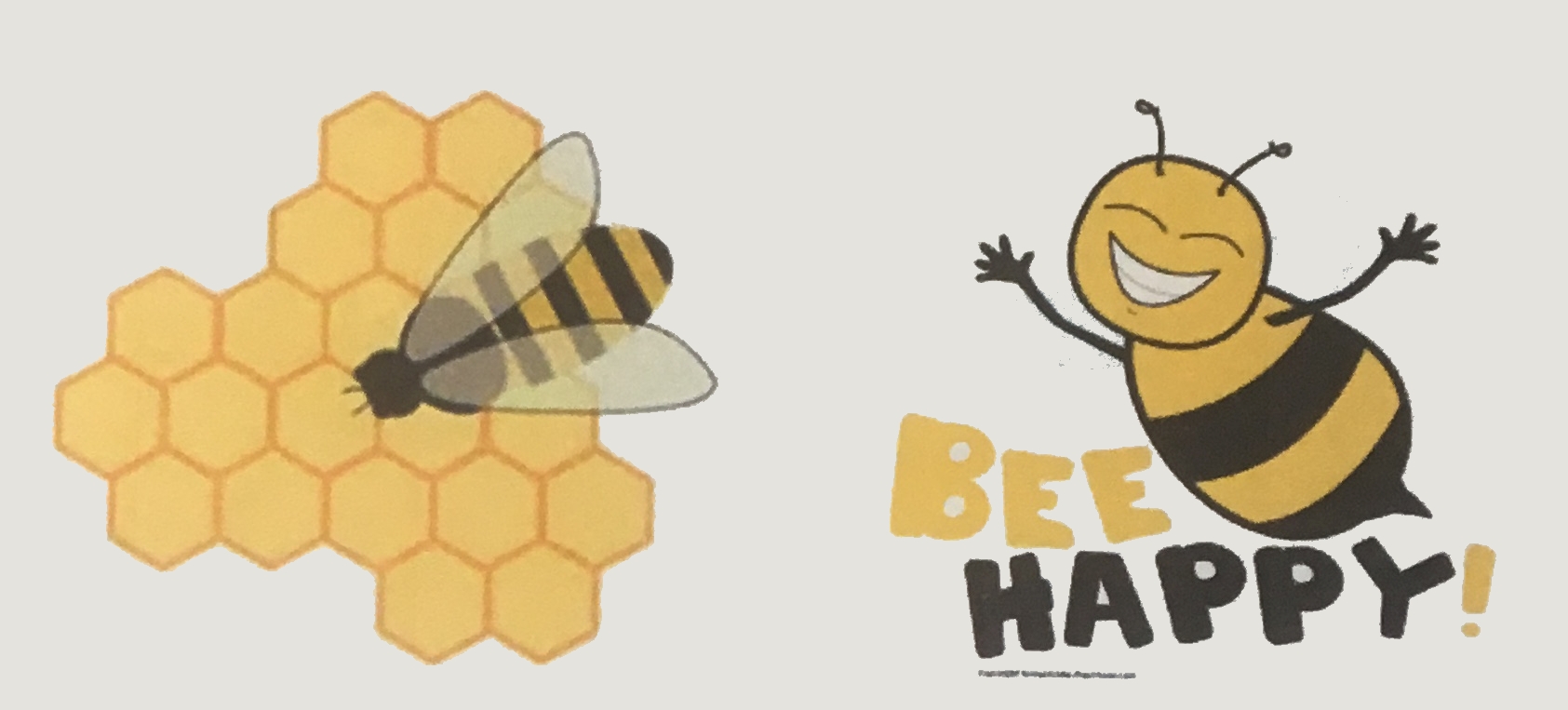 If it looks like a bee, it’s a wasp | Bad Beekeeping Blog