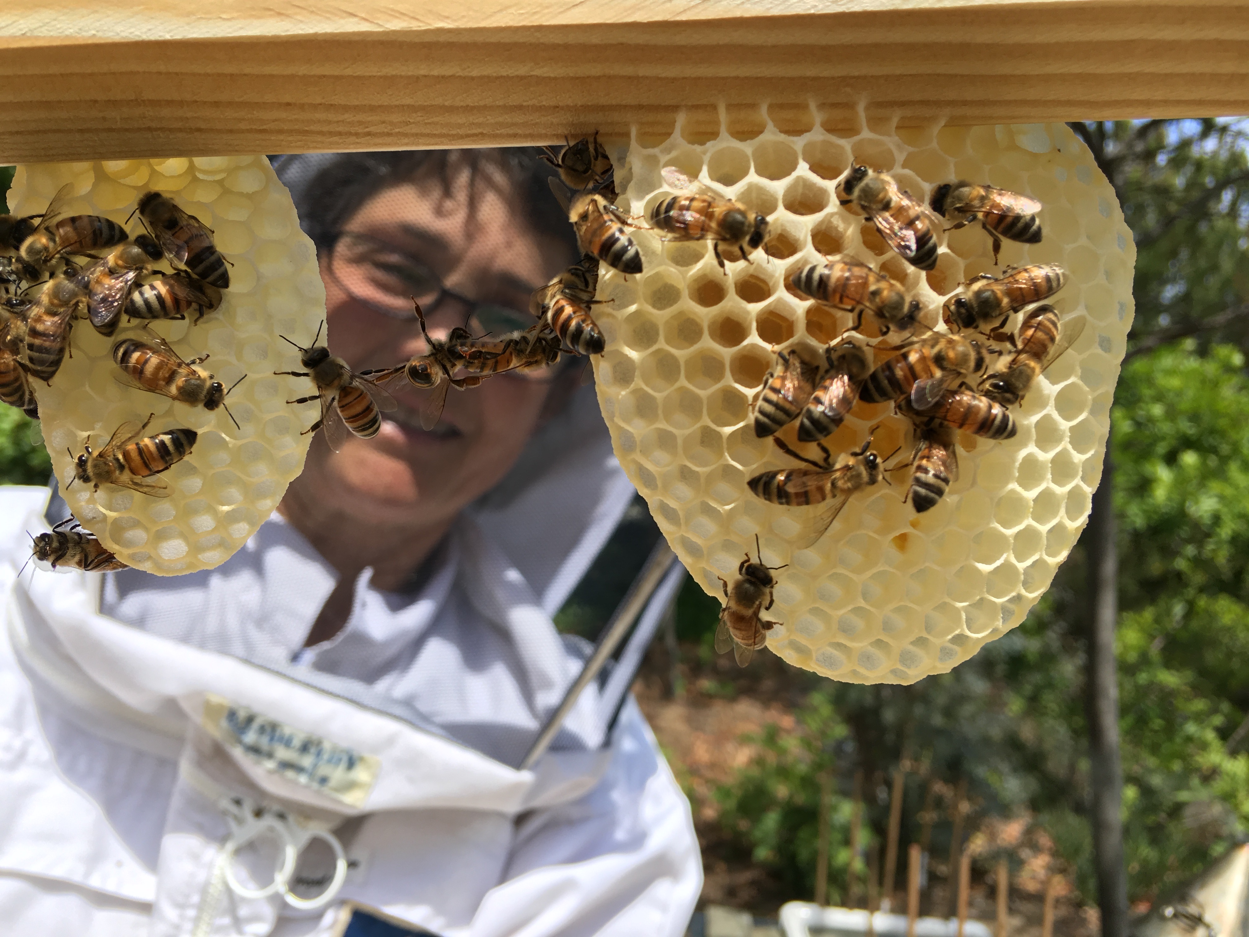 Remembering Susan | Bad Beekeeping Blog