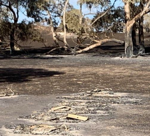 Bees and the Australian Fires | Bad Beekeeping Blog