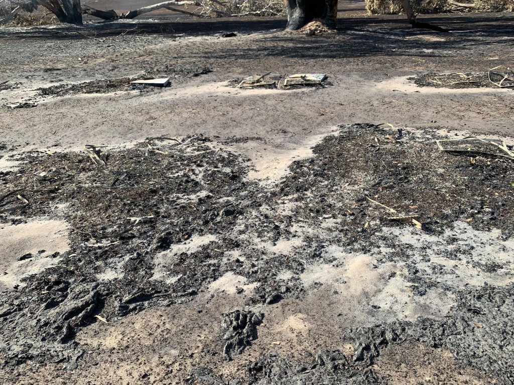 Bees and the Australian Fires | Bad Beekeeping Blog