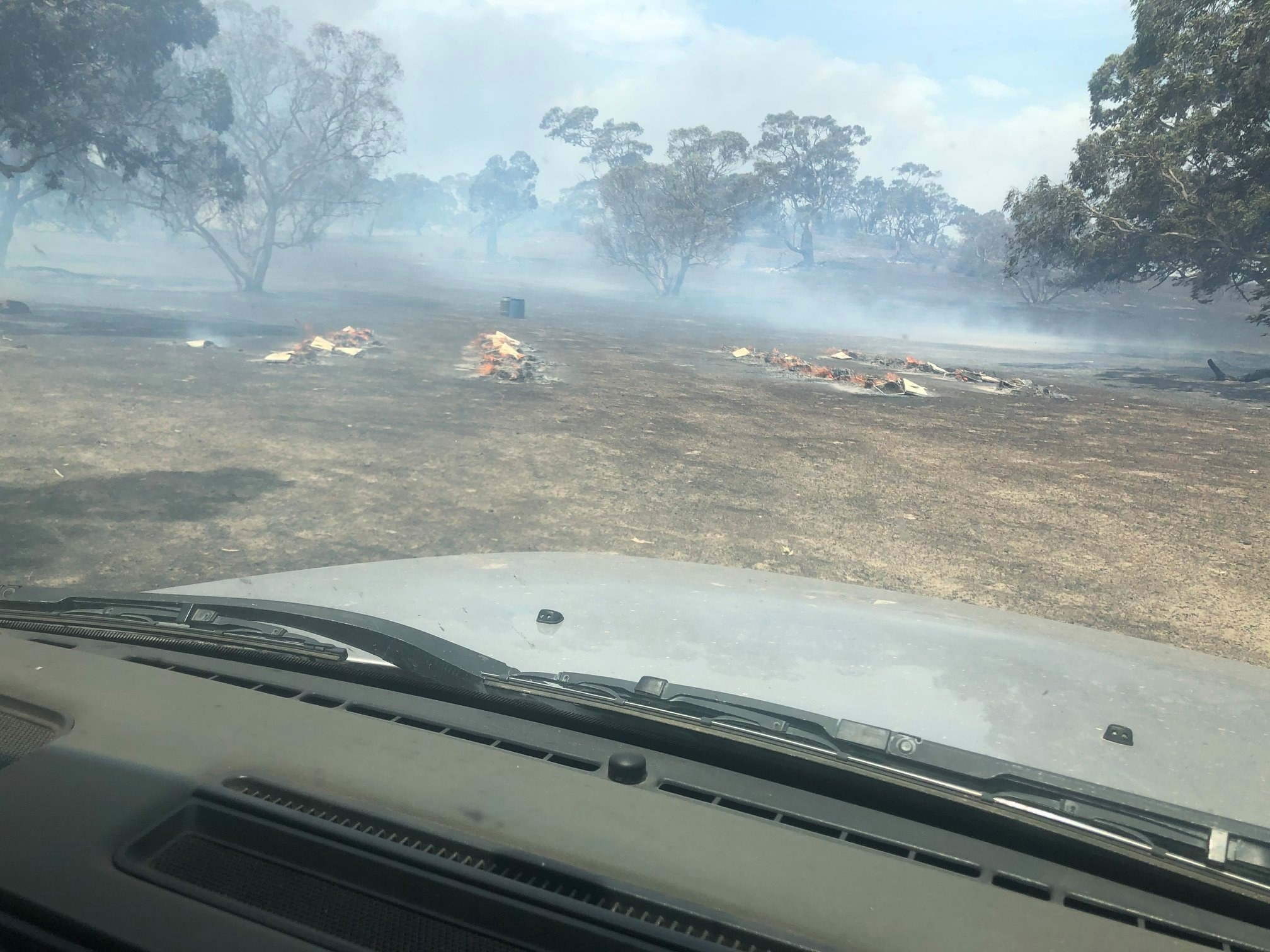 Bees and the Australian Fires | Bad Beekeeping Blog