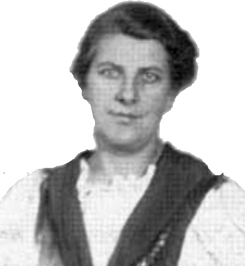 The hills were alive with the sound of buzzing | Bad Beekeeping Blog