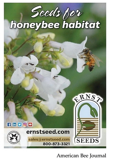 A rare seed guy | Bad Beekeeping Blog