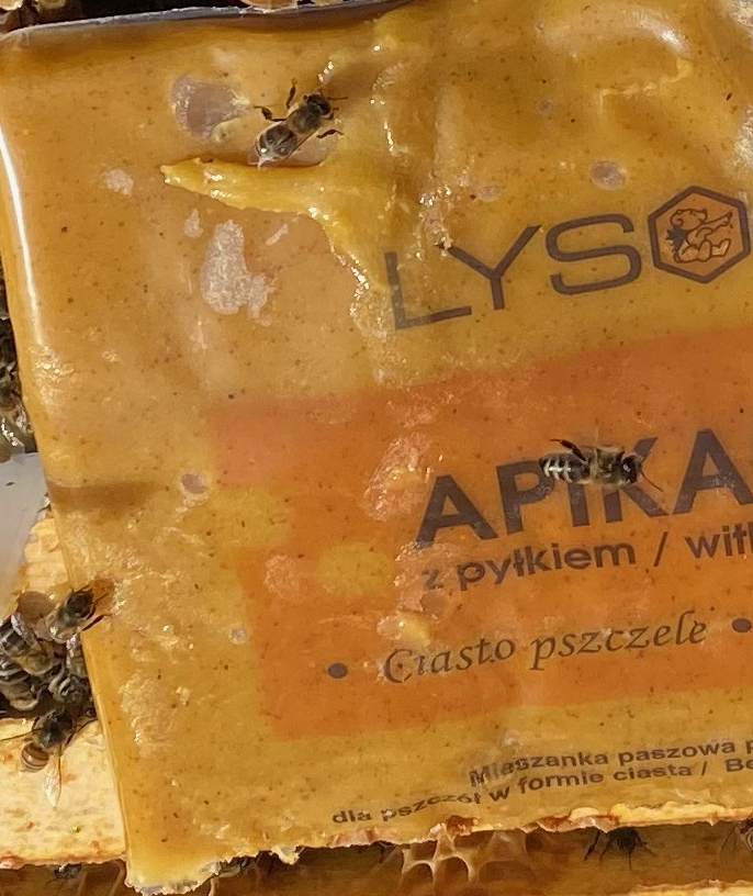 pollen cake | Bad Beekeeping Blog