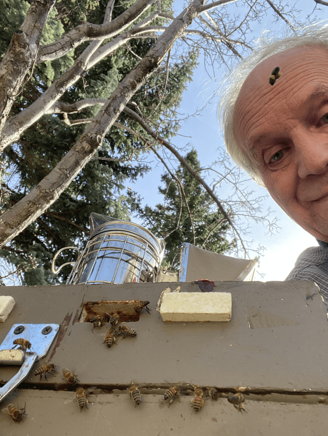 April 7: Day in the bees | Bad Beekeeping Blog
