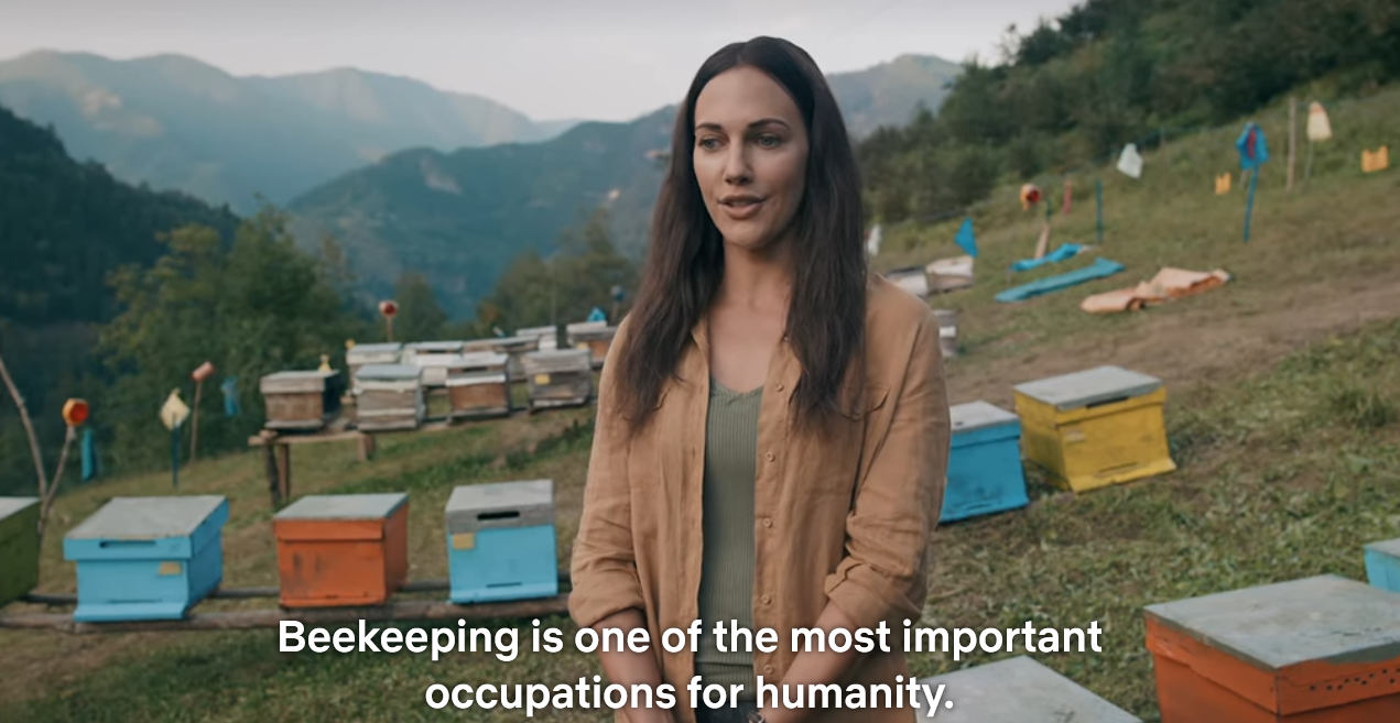 Keeping the Bees: Netflix | Bad Beekeeping Blog