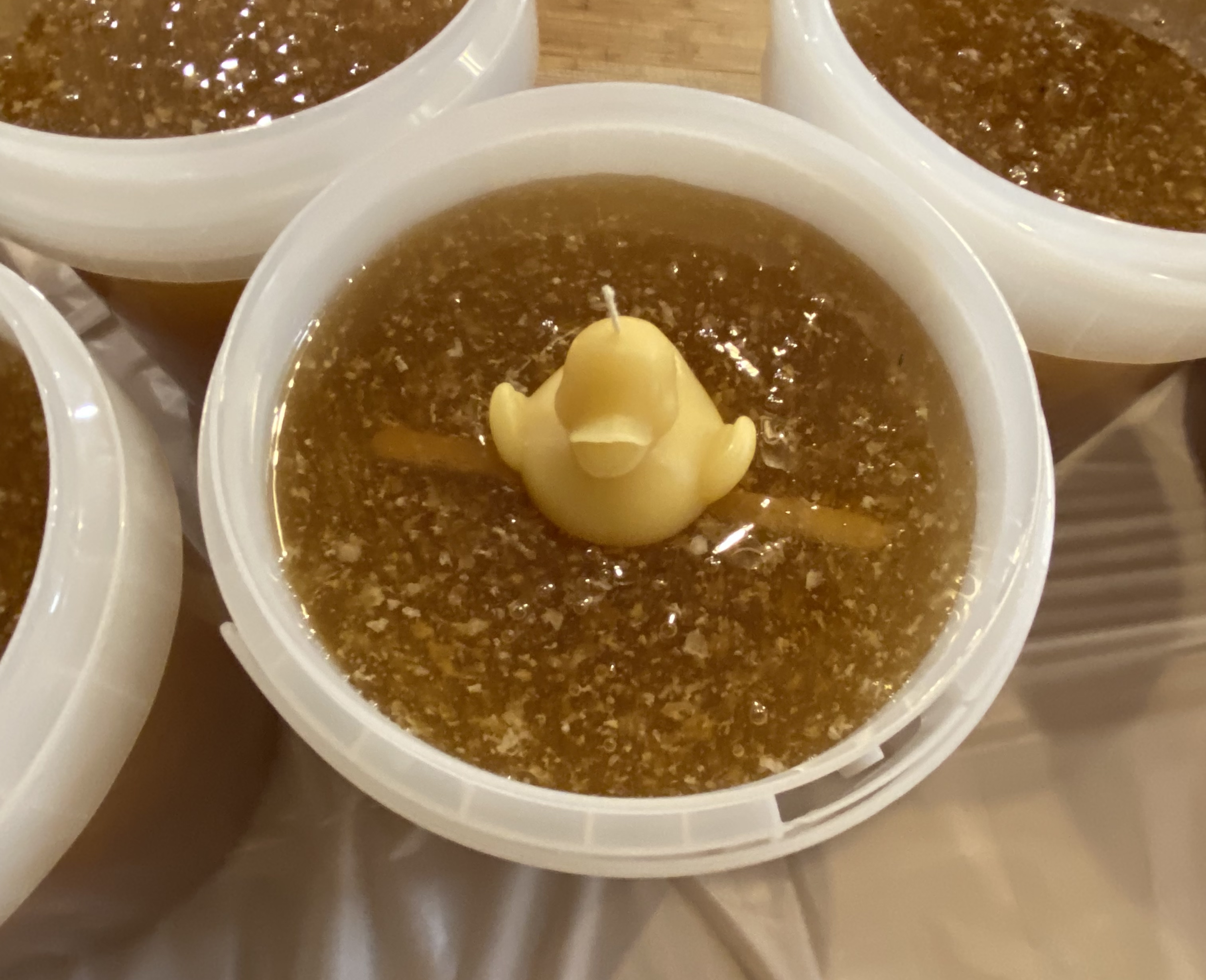 Ducks in a row | Bad Beekeeping Blog
