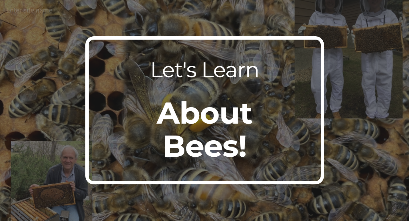 Learn About Bees | Bad Beekeeping Blog