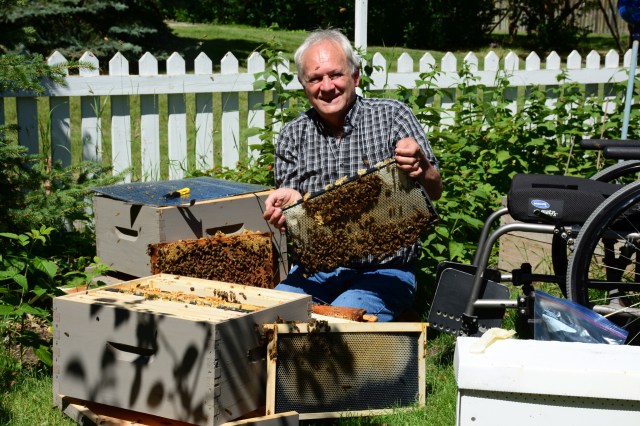 The Native and Non-Native Bee Debate | Bad Beekeeping Blog