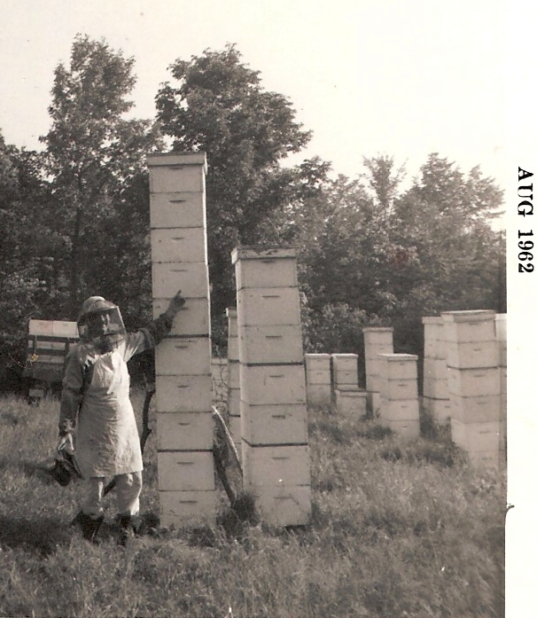 Bad Beekeeping Blog | Bees and Beekeeping Culture