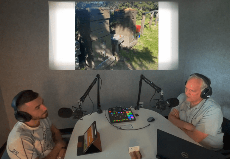 Podcast: from Beyonce to bee forage and beyond | Bad Beekeeping Blog