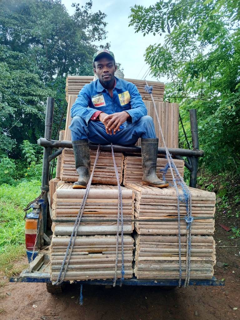 Bad Beekeeping Blog | Bees and Beekeeping Culture