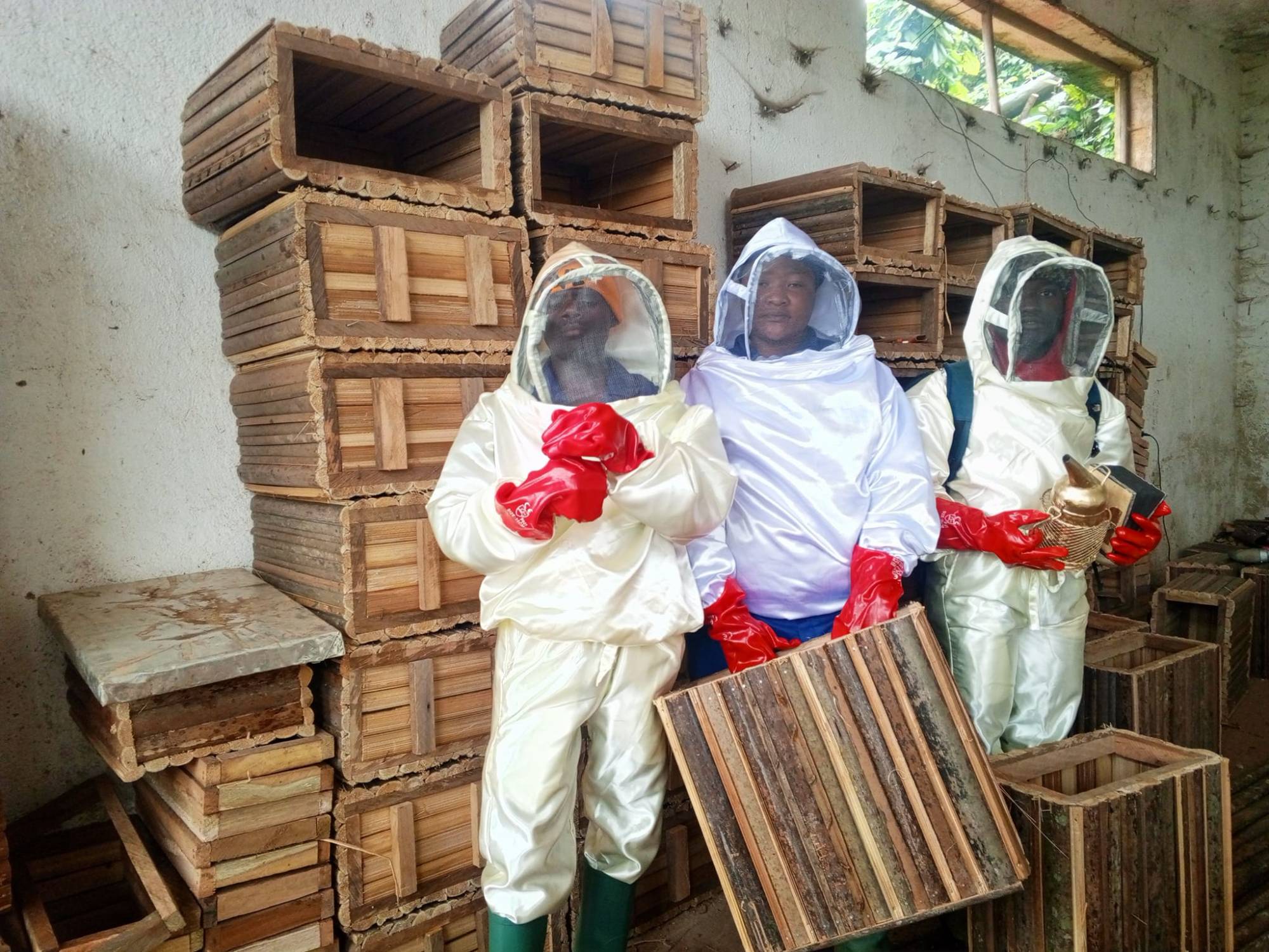 Bad Beekeeping Blog | Bees and Beekeeping Culture