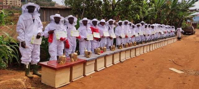 Podcast: A Beekeeper’s Journey – Cameroon to Calgary | Bad Beekeeping Blog