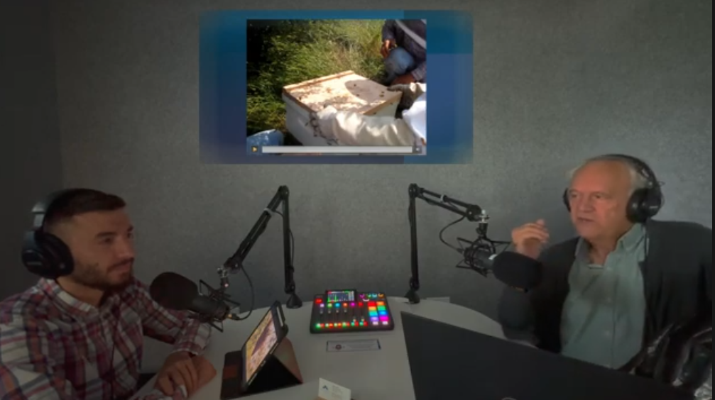 Podcast: Moving Honey Bees, part 2 | Bad Beekeeping Blog
