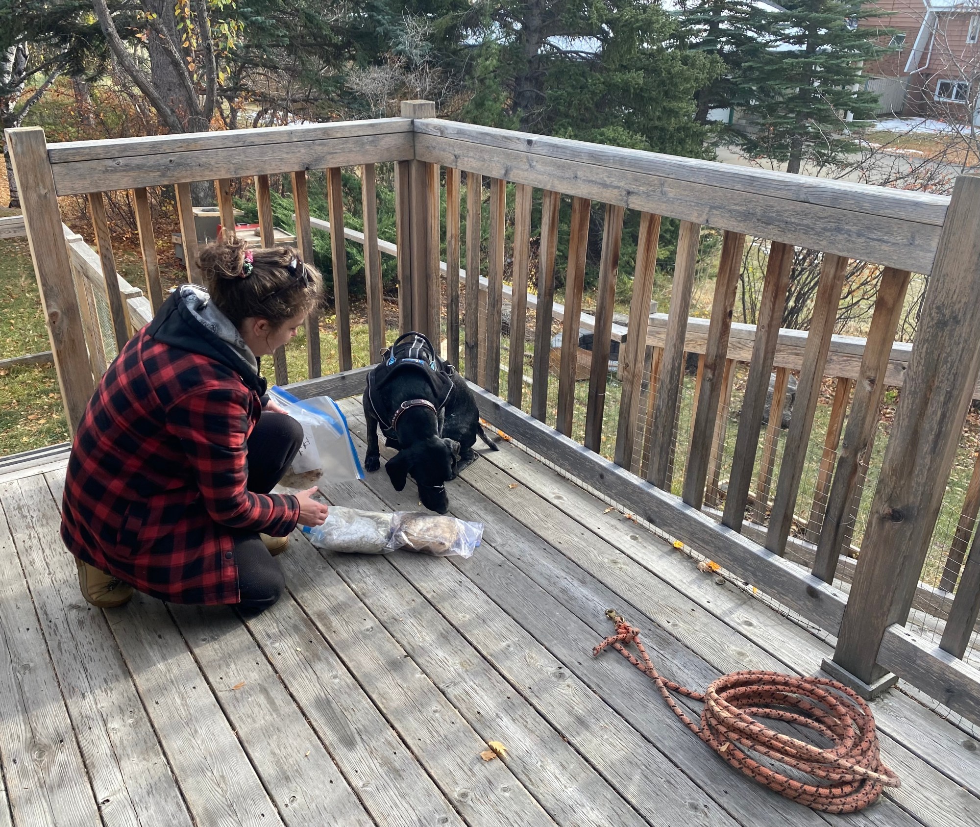 Bad Beekeeping Blog | Bees and Beekeeping Culture