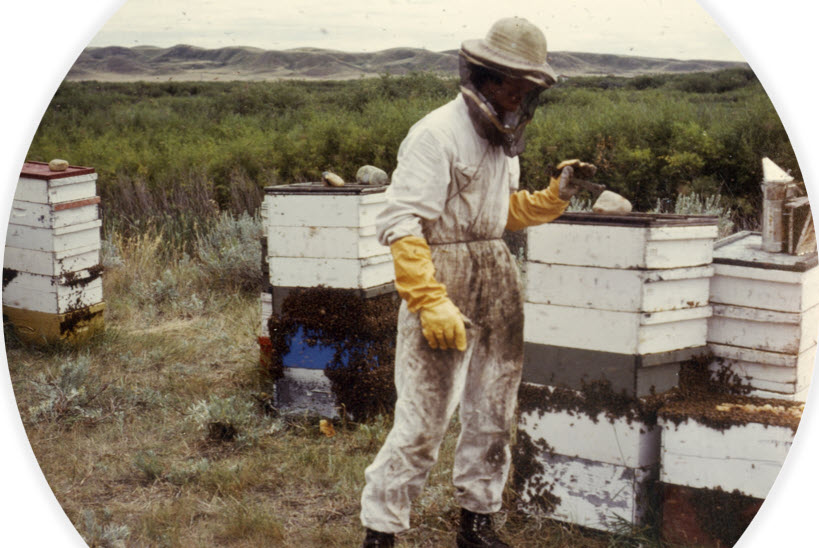Bad Beekeeping Blog | Bees and Beekeeping Culture