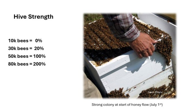 Podcast: Honey Harvest Time | Bad Beekeeping Blog