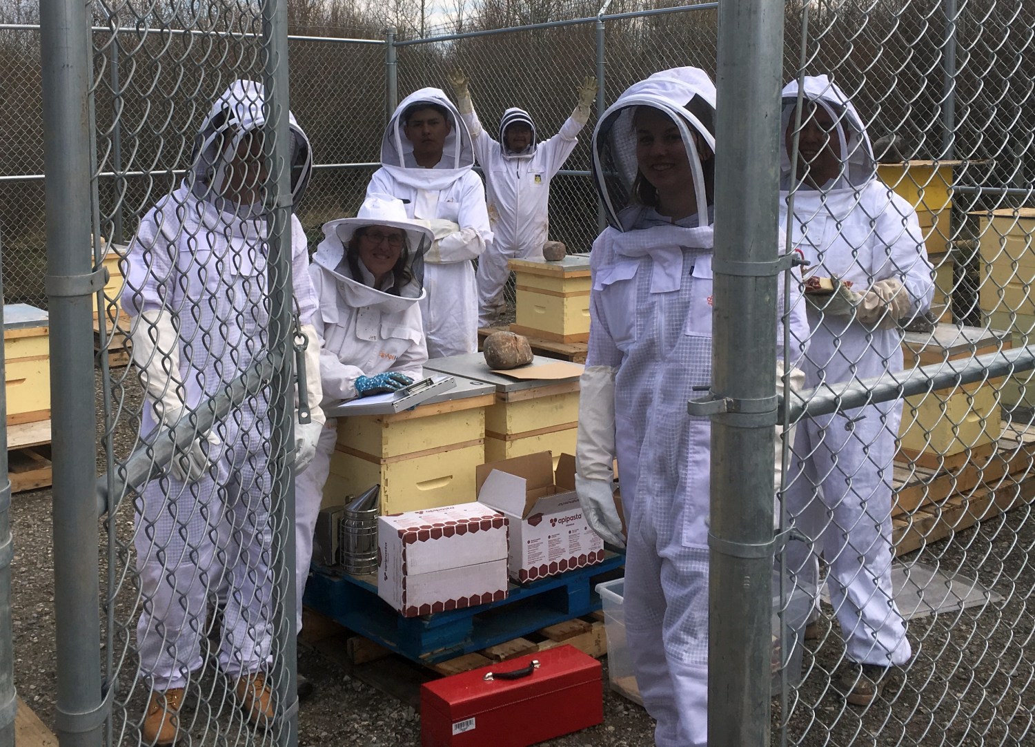 Bad Beekeeping Blog | Bees and Beekeeping Culture