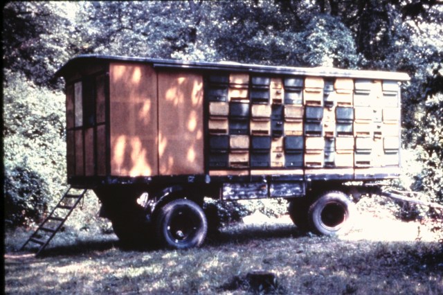Bad Beekeeping Blog | Bees Culture and Curiosity
