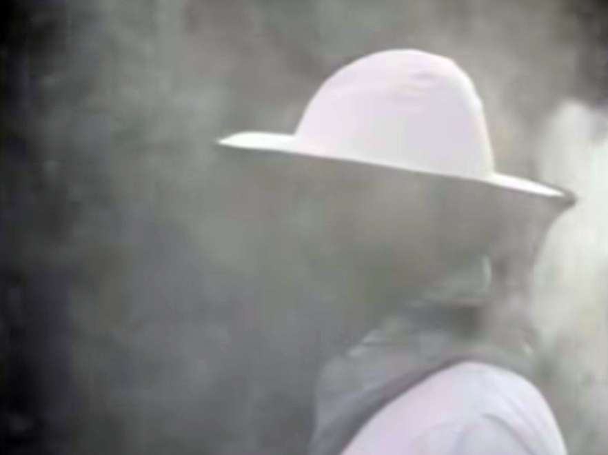 Sylvia Plath, the Beekeeper’s Poet | Bad Beekeeping Blog