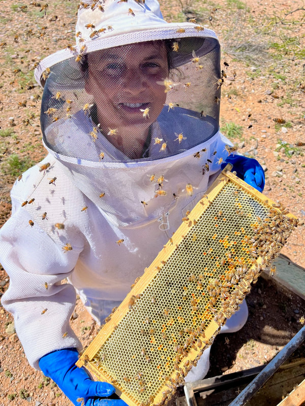 Arizona was Swarming – in January! | Bad Beekeeping Blog
